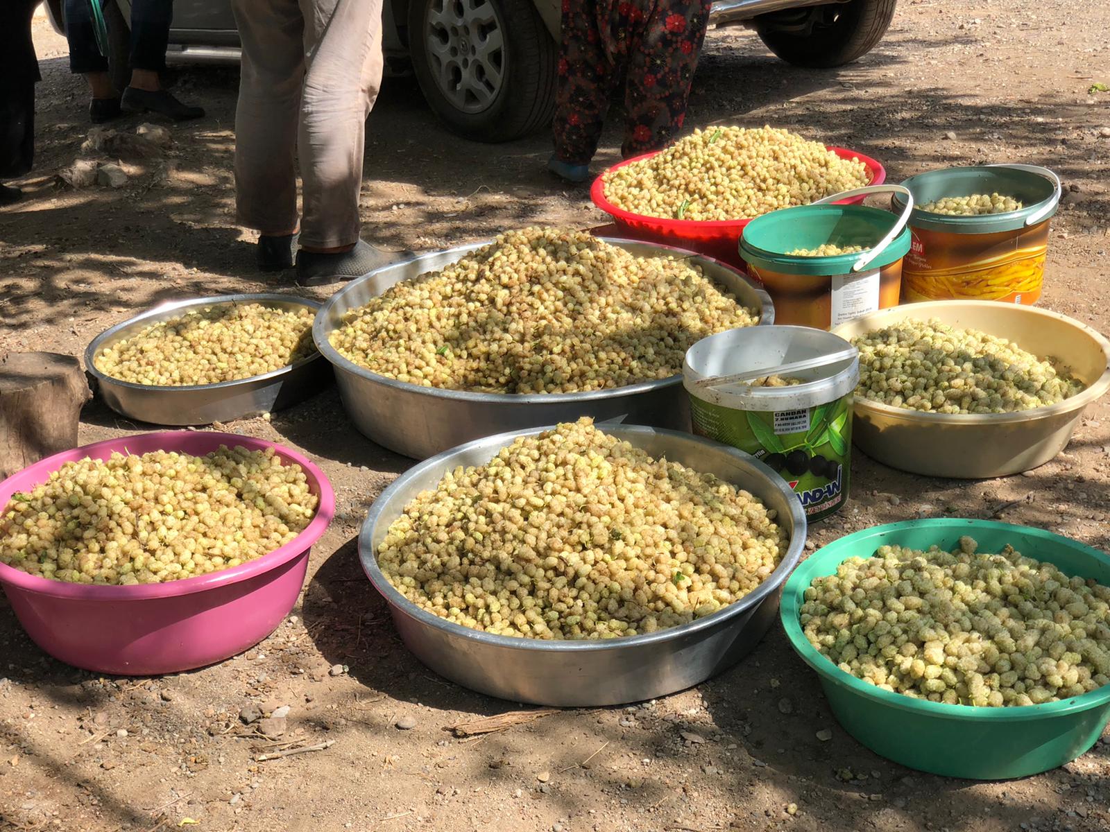 Gerger'de Neden Kıymetsiz? - Gerger Postası